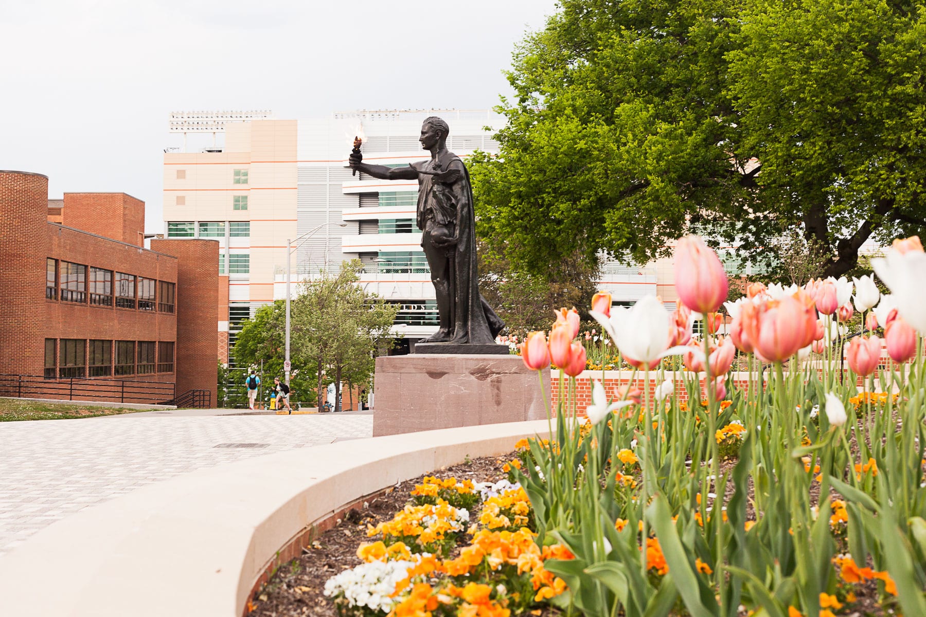 Request Information for Online Degree Programs - Vols Online